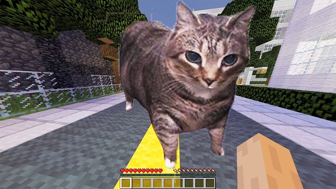 I Found Real OIIAOIIA CAT in Minecraft - YouTube