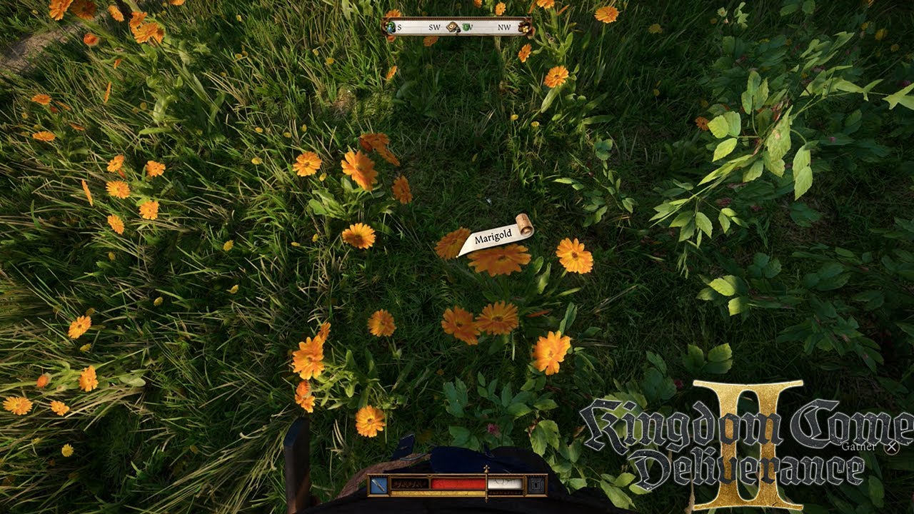 Where to find free Marigold (Trosky Region) | Kingdom Come Deliverance ...