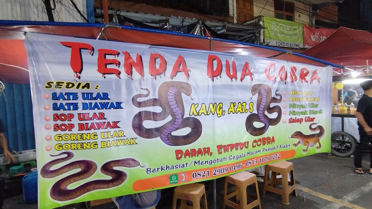 Kuliner Unik dan Ekstrem Olahan Ular Cobra dan Biawak di Pasar Lama ...