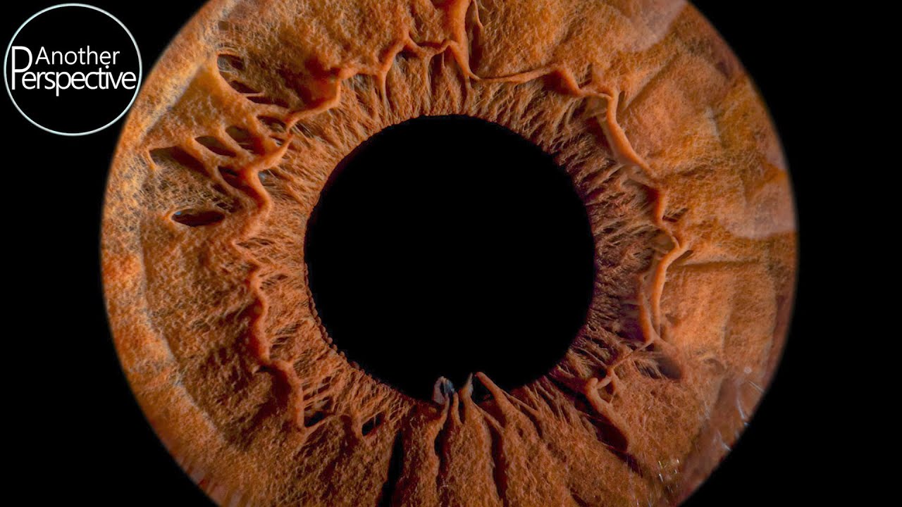 Iris Photography 👁‍ 7 Photography Tips for Eye Photo WITHOUT a Flash ...