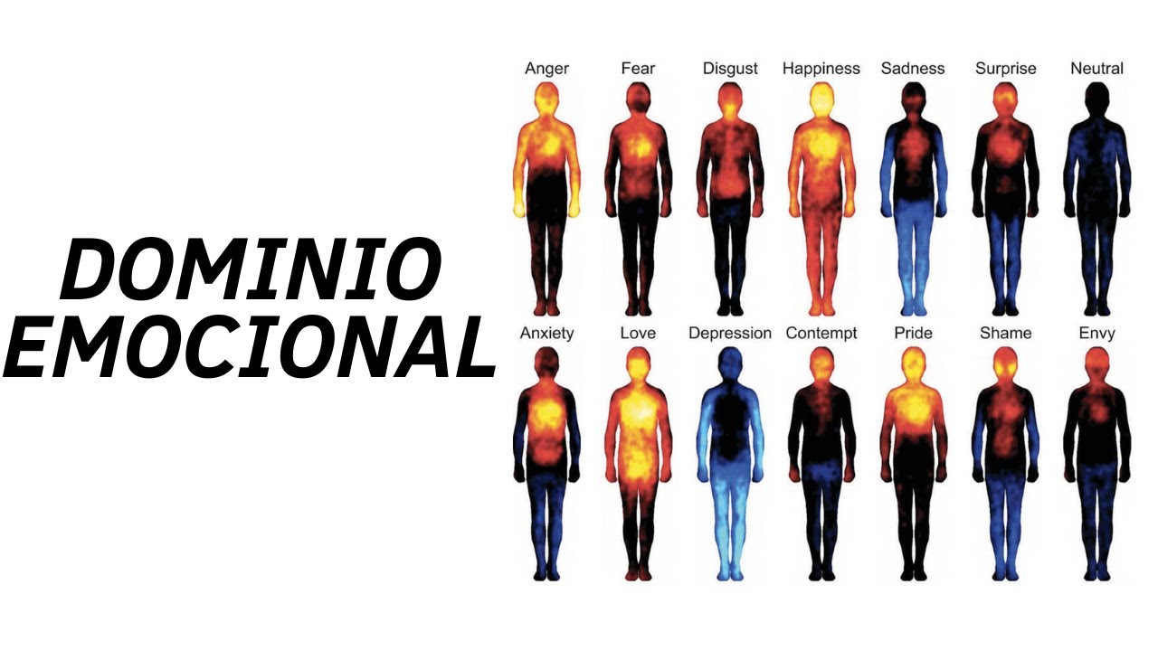 Domina Tus Emociones Incómodas - YouTube