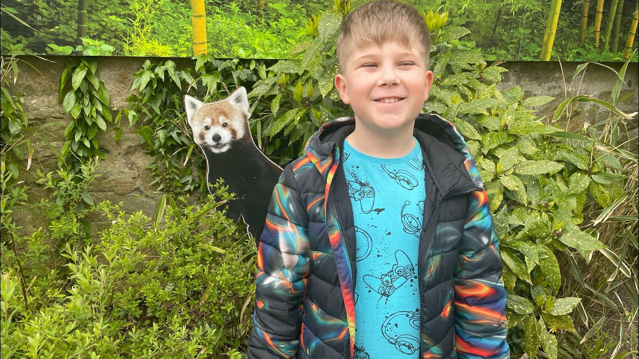 Paradise Park - Hayle Cornwall - Wildlife Sanctuary - YouTube