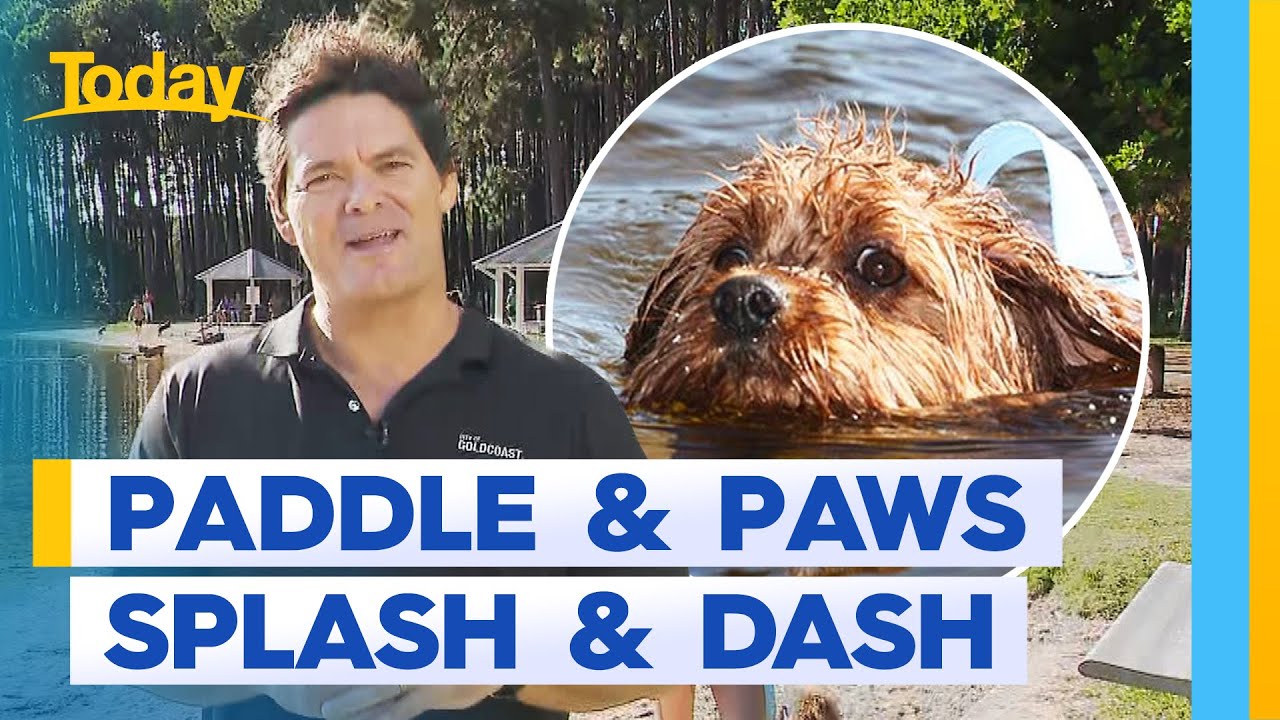 Owners take on their dogs in Paddle & Paws Splash & Dash | Today Show ...