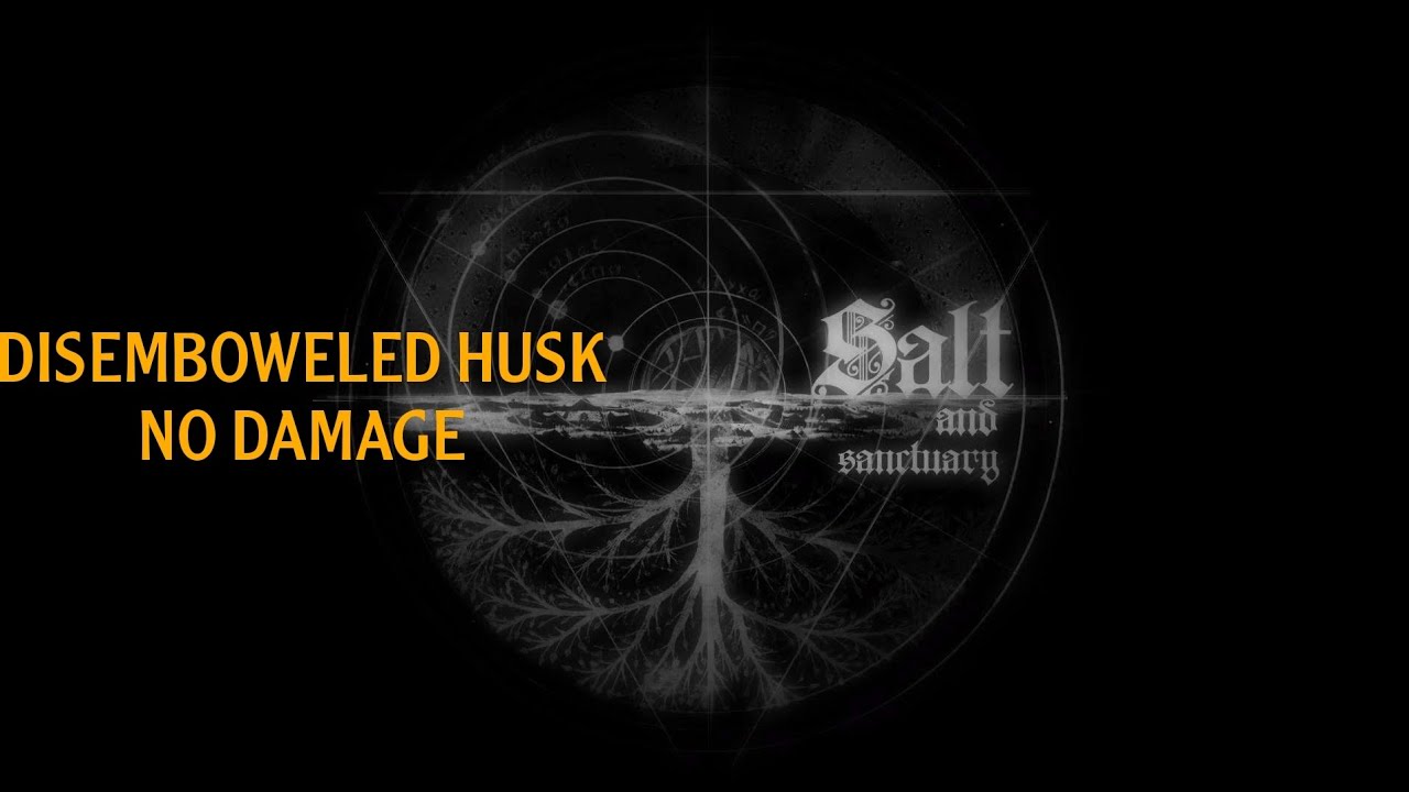 Salt and Sanctuary / Disemboweled Husk (No Damage) - YouTube