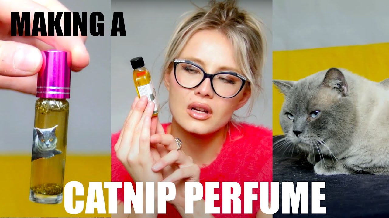 Making a CATNIP PERFUME so my cat is obsessed with me 😹 / Nina Tribus ...