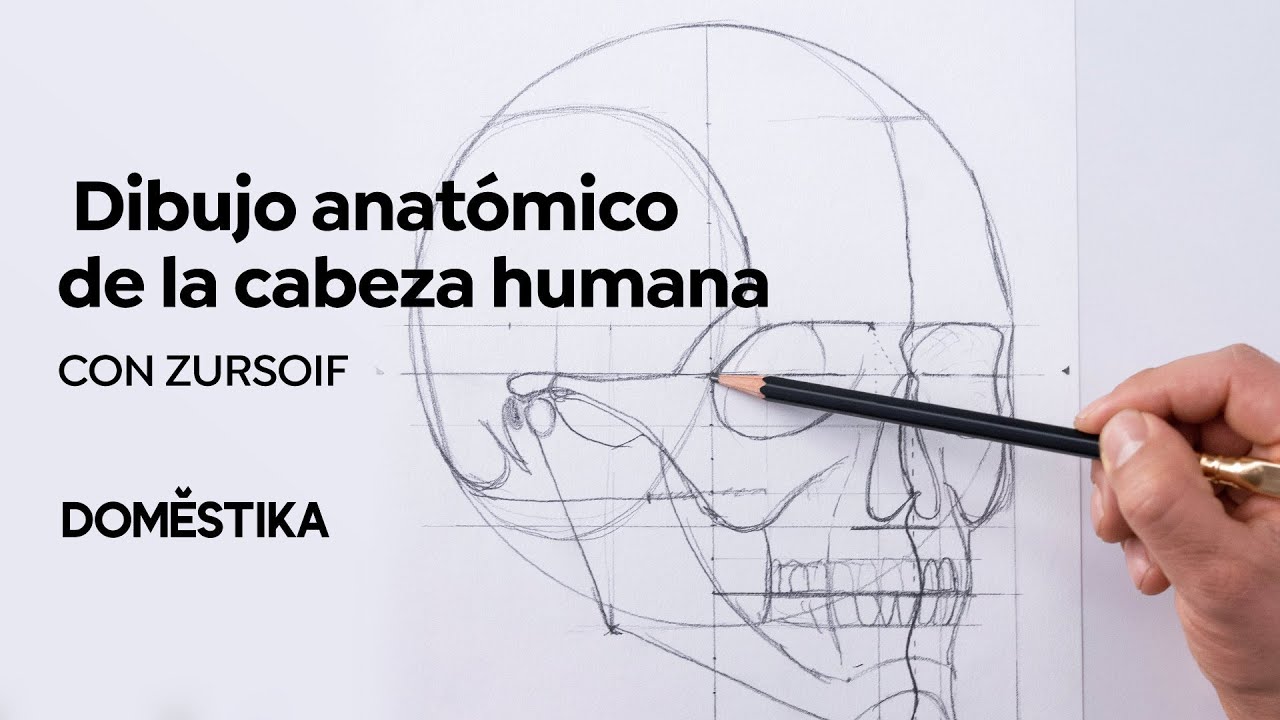 Dibujo anatómico de la cabeza humana | Un curso de Zursoif | Domestika ...