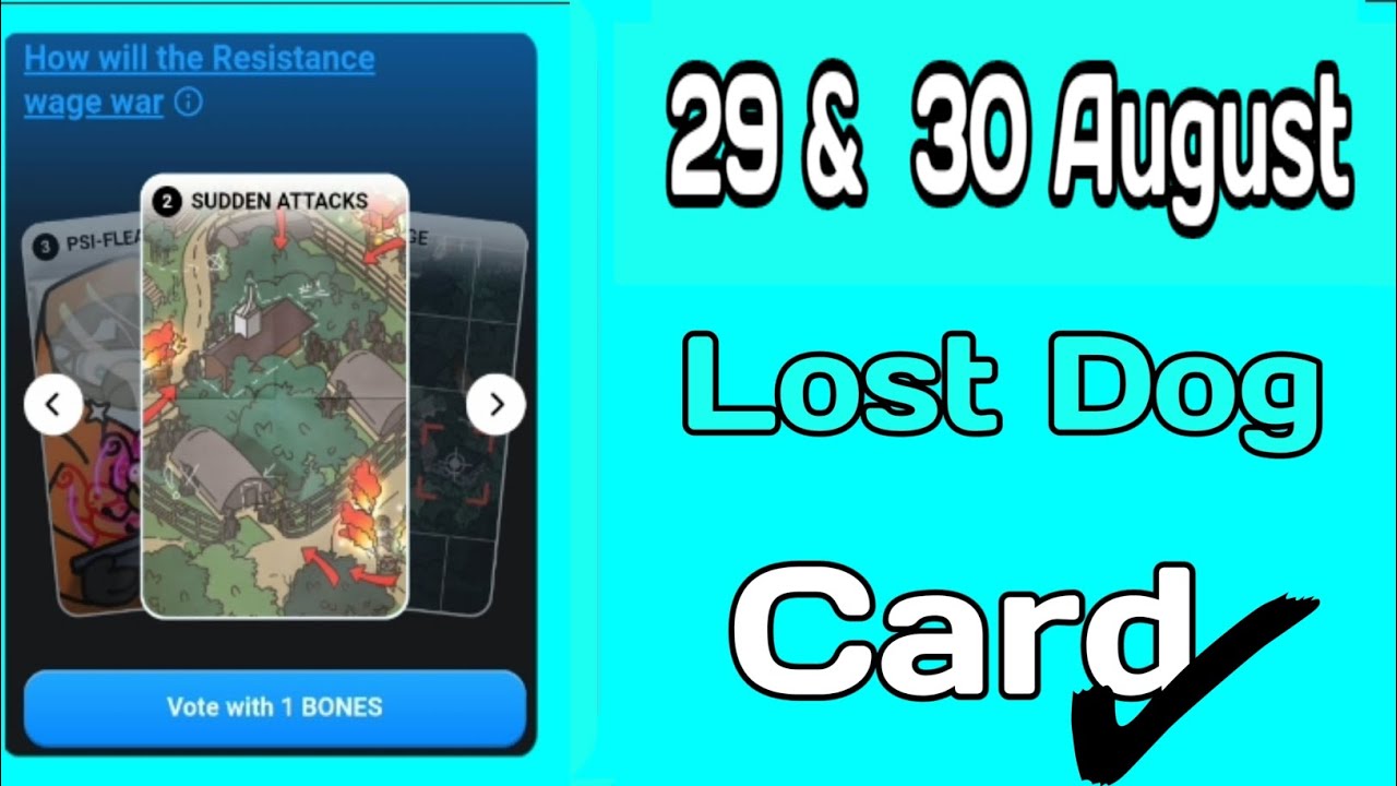 29 & 30 August Lost Dog : The Way Card ( 85% Confirmed ) | Mohsin Club ...
