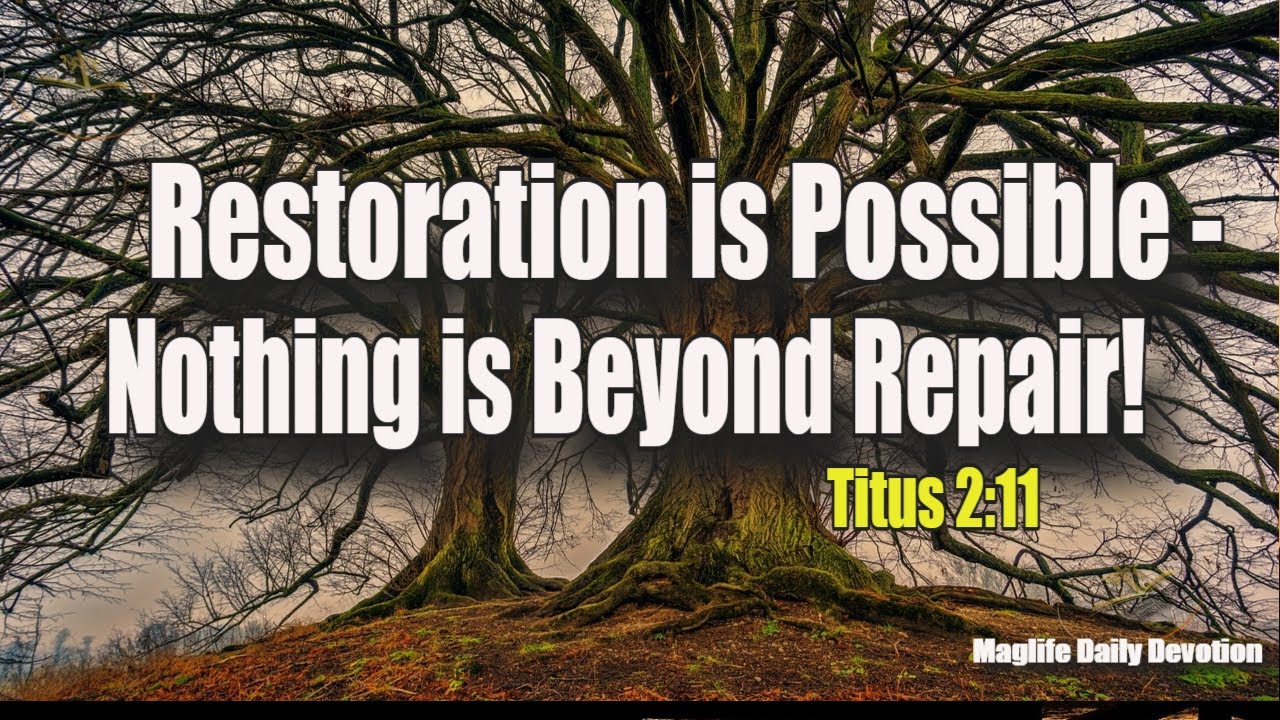 Restoration is Possible - Nothing is Beyond Repair! |Magnificent Life ...