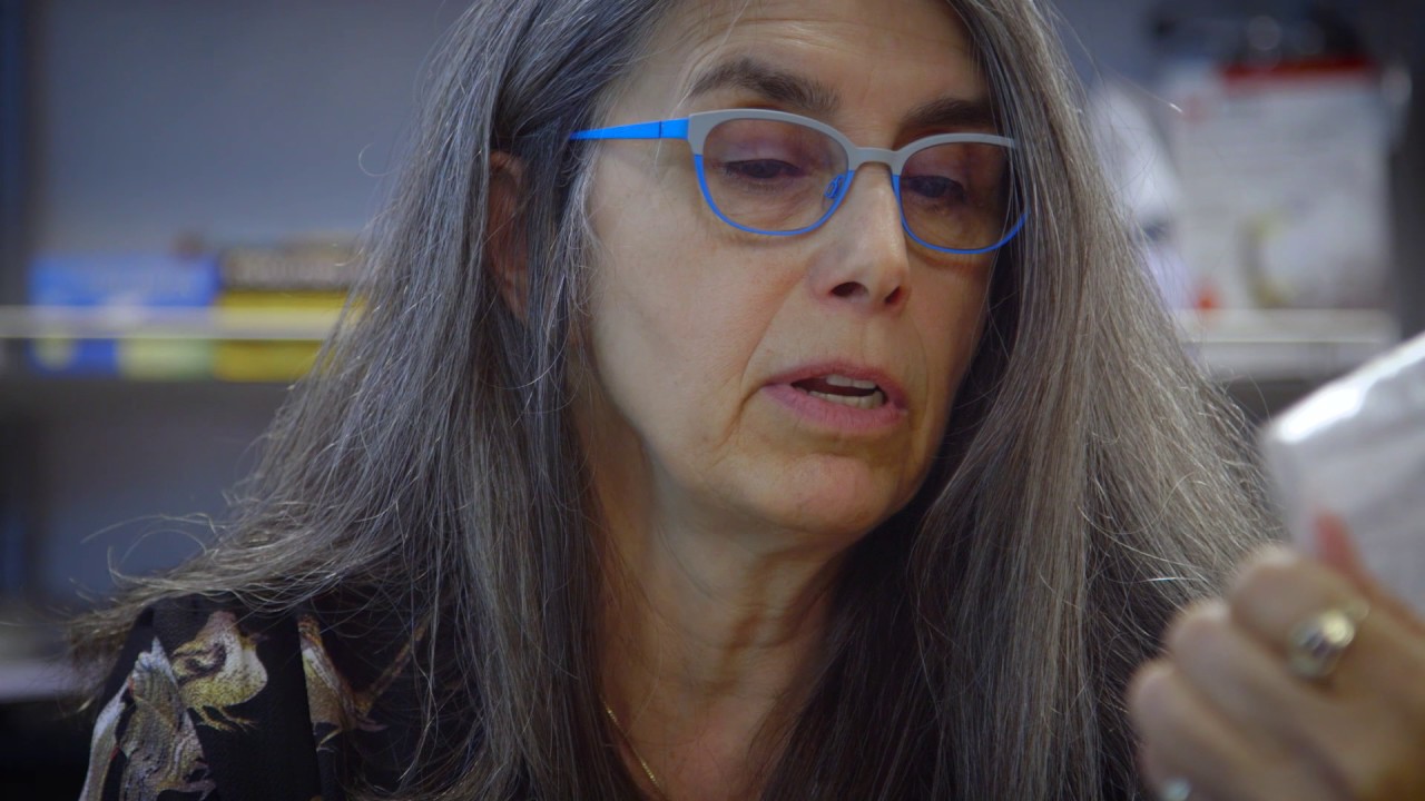 Jessica Bushey's Instagram, Twitter & Facebook on IDCrawl