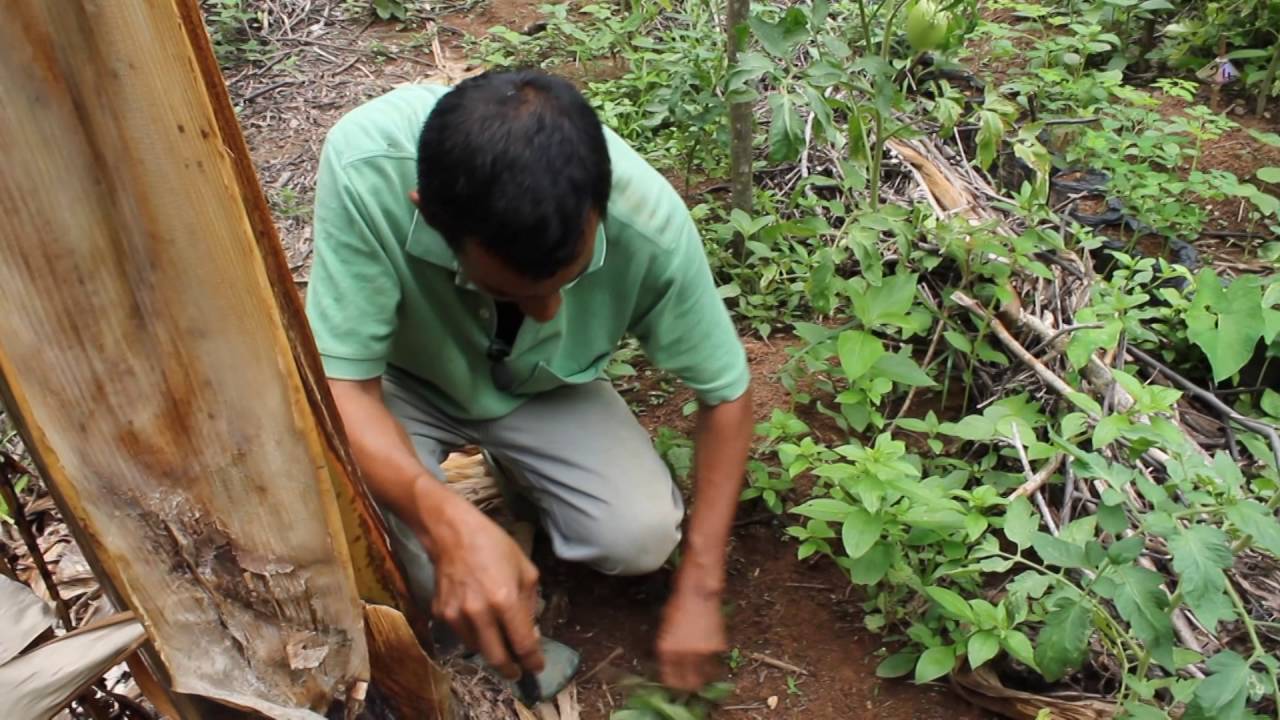 Entrevista Arcesio Vaquiro - YouTube