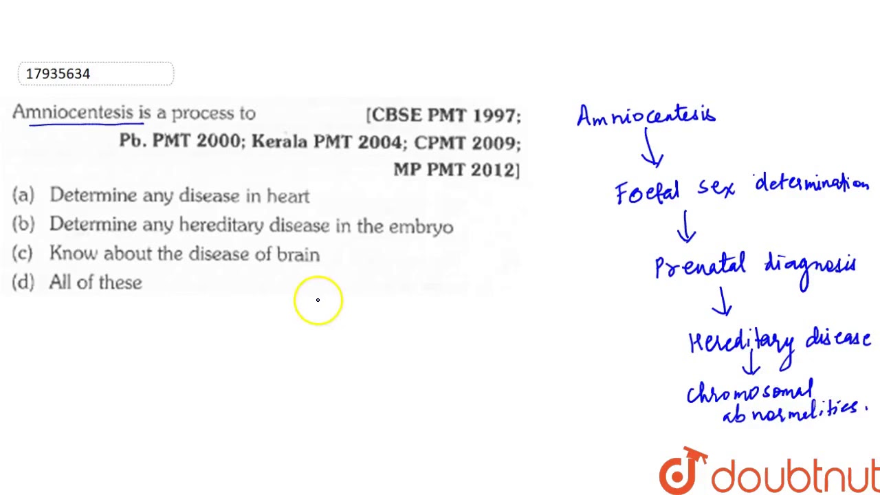 Amniocentesis Process