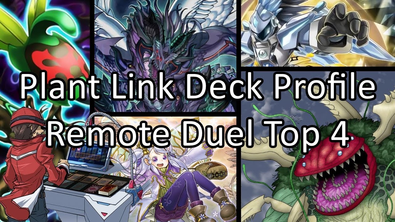 Top 4 Plant Link! Deck Profile and Combo! Yugioh Remote Duel ...