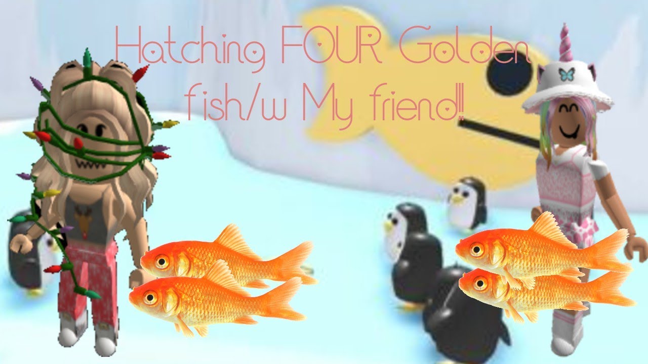 Hatching FOUR Legendary Golden Fish/w my friend!! - YouTube