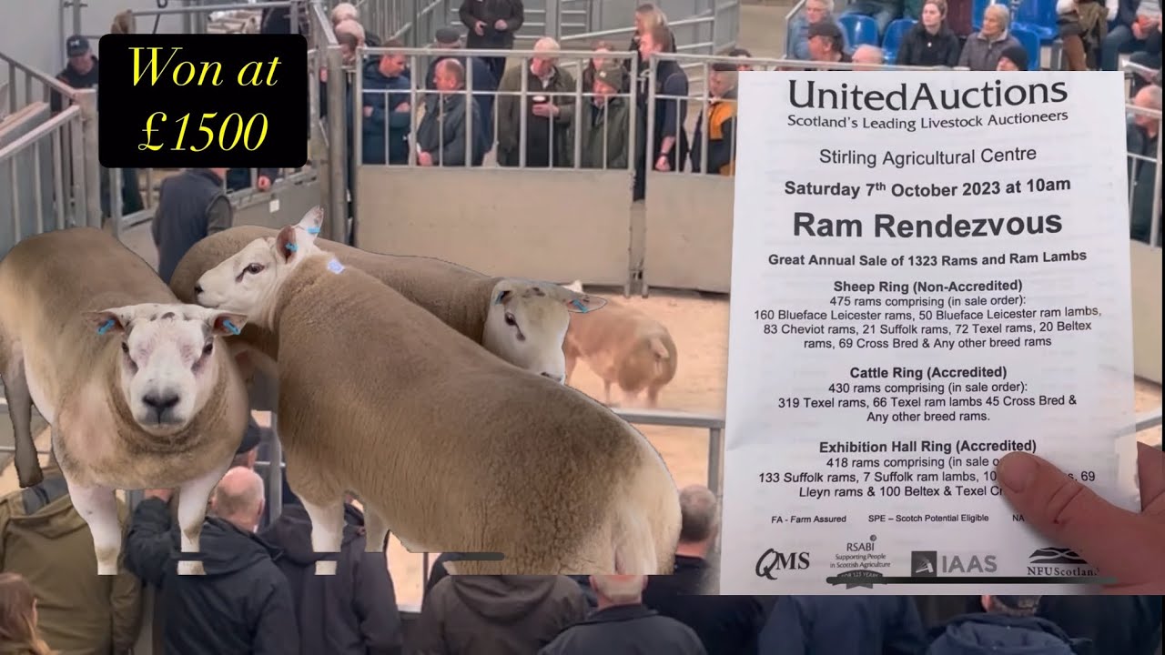 RAM sales, it cost How Much??? - YouTube