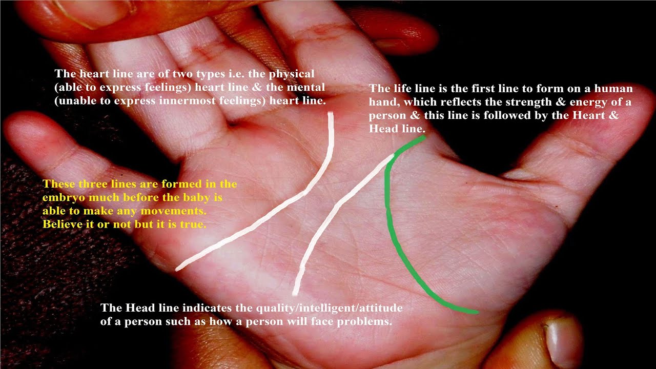 The lines of a hand can changed & nullify any prediction - YouTube