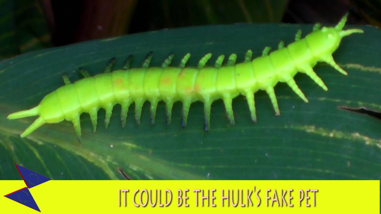 This Is A Fake Radioactive Centipede - YouTube
