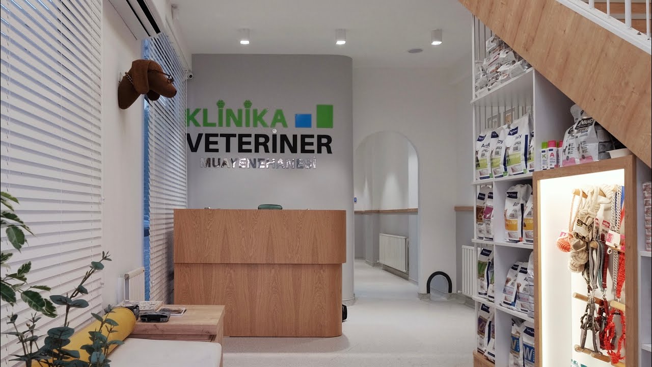 Veteriner Kliniği İç Mekan Tasarımı - YouTube