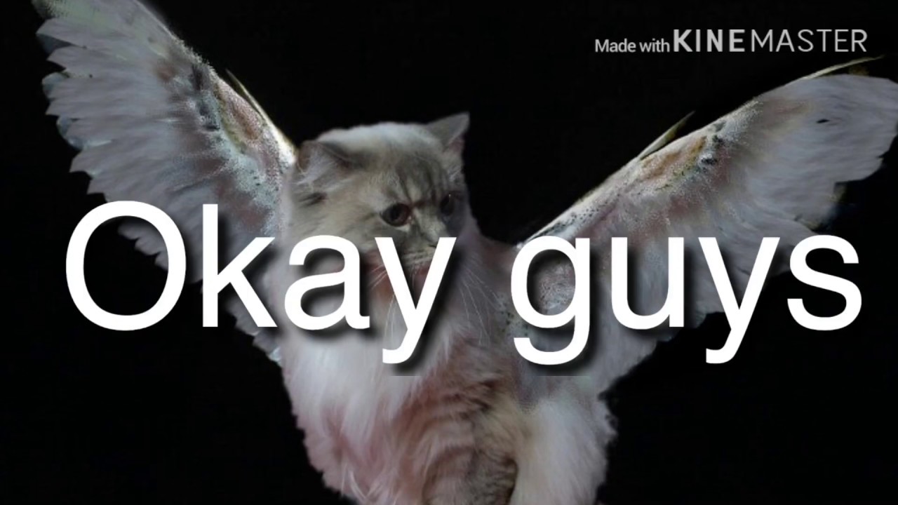 AWTOK Rebellion (join us April 29) - YouTube