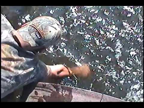 How to Catch Fish With Bare Hands - YouTube