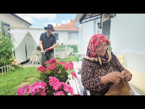 💯 DİŞ HEKİMİNDEN ÖNERİLER  | BAHÇE İŞLERİMİZ | MİSAFİRLERİM GELDİ | ANNEM SARMA SARDI  