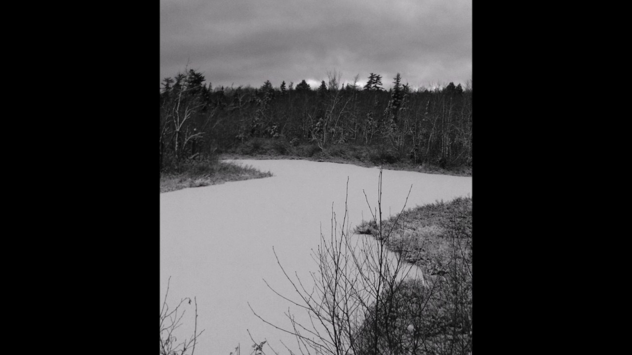 Dark Pond trailer - YouTube
