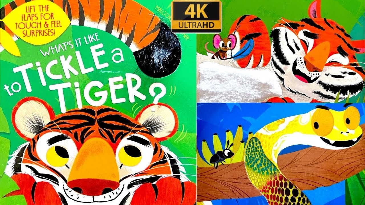 Bedtime Story - What’s It Like To Tickle A Tiger? - 4K - YouTube
