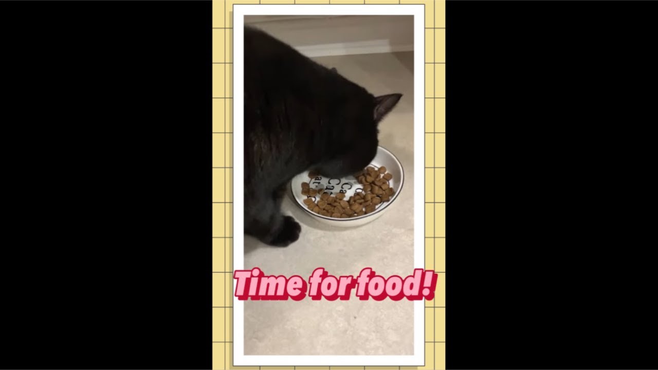 Time for food! - YouTube