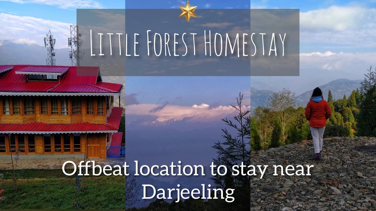 Little Forest Homestay || Full review and details|| Best place to work ...