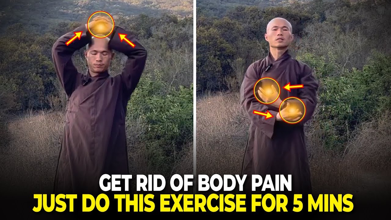 No More Back Pain: Strengthen and Heal Your Spine | Thich Man Tue - YouTube