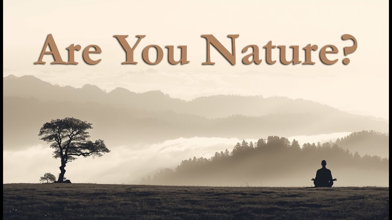 Are You Nature? | The Secret Relationship Between Nature and the Self ...