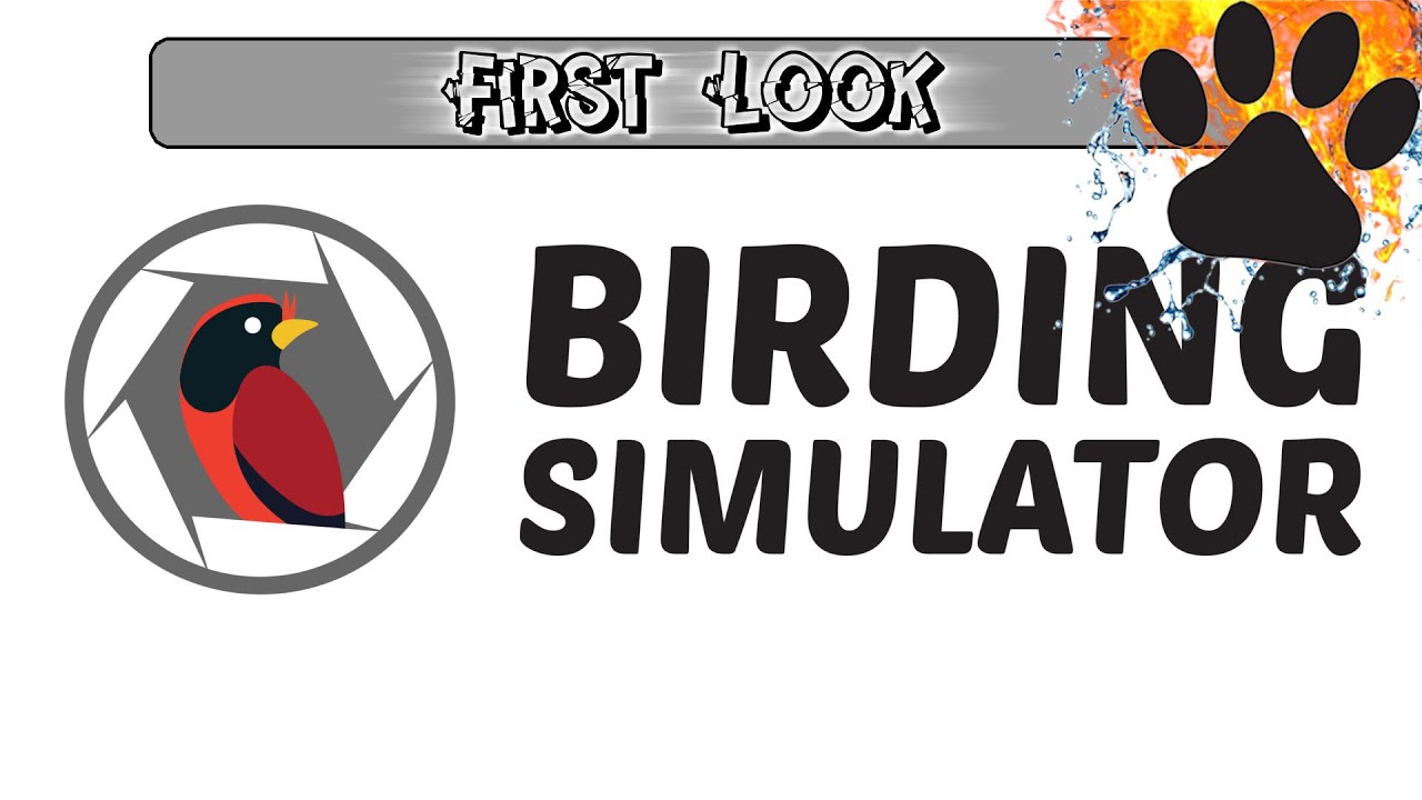 First Look - Birding Simulator - DEMO - YouTube