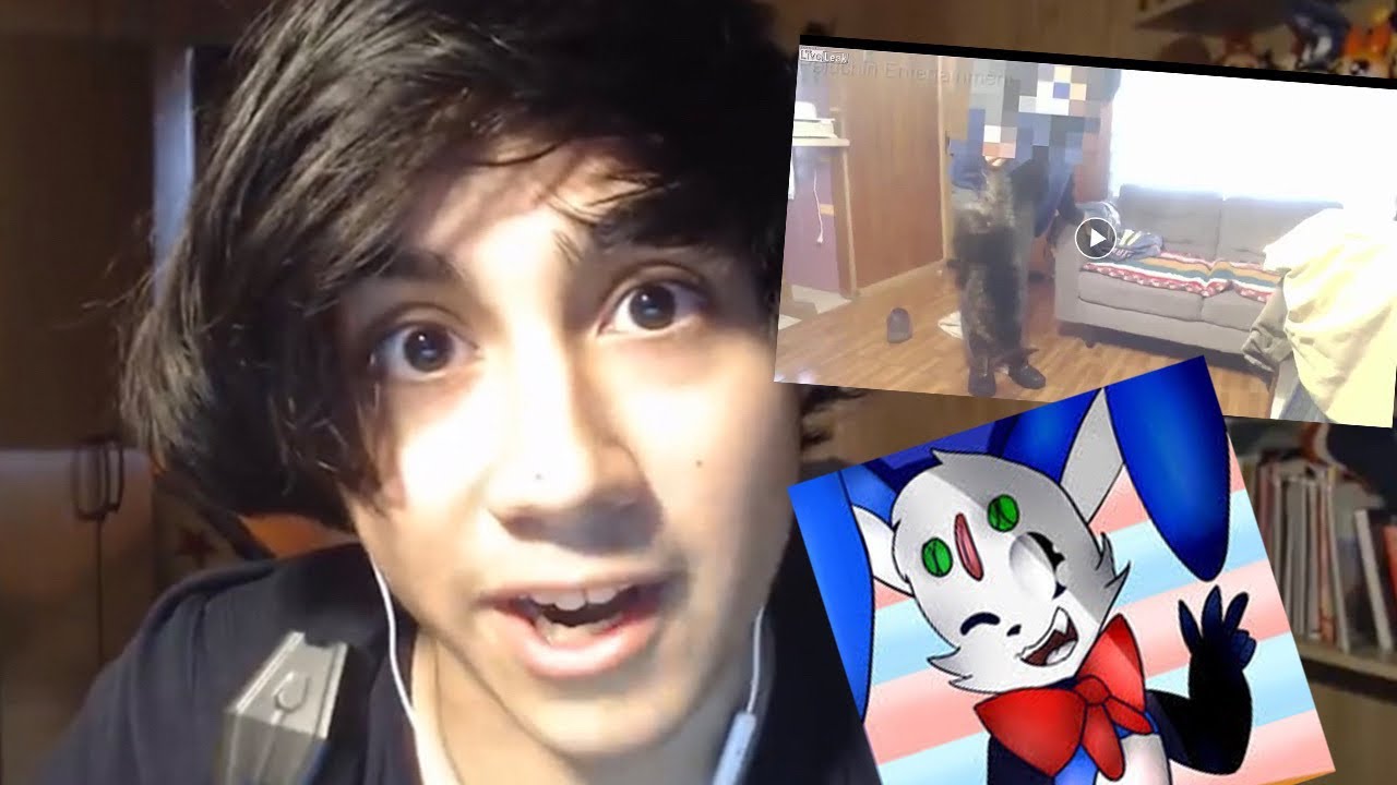 The YouTube Cat Killer: Peluchin Entertainment - YouTube