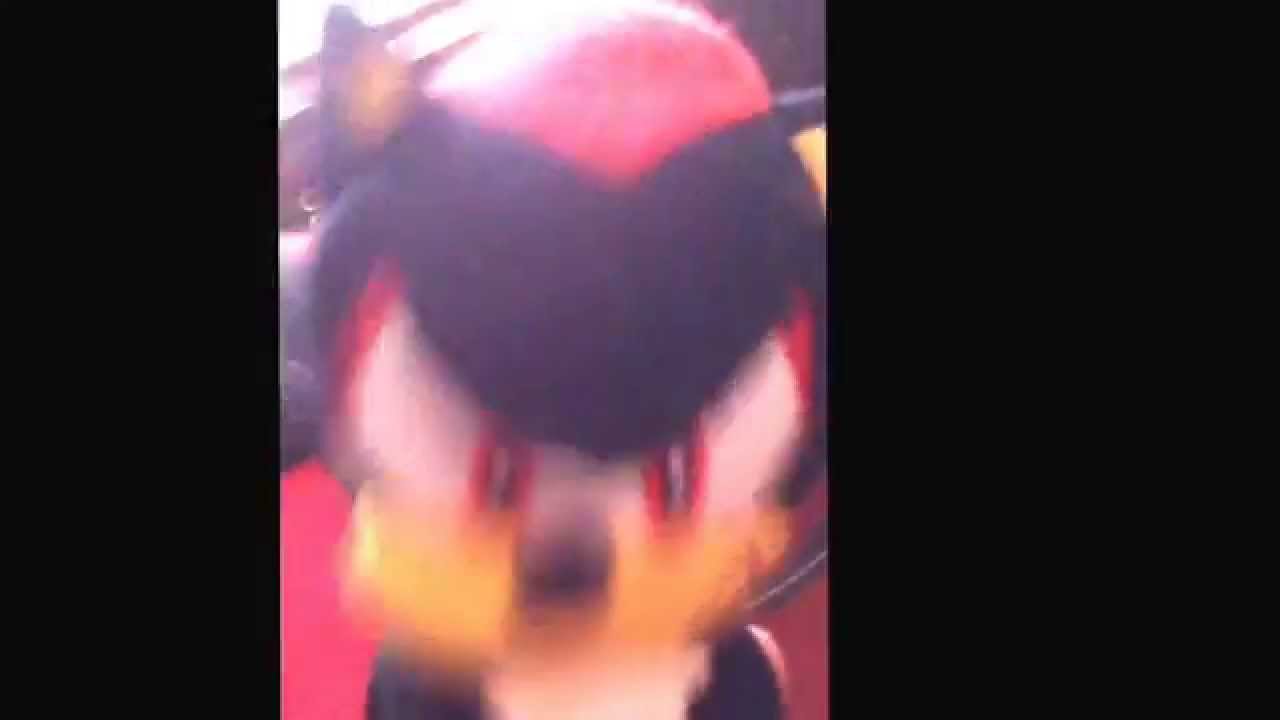 Shadow the hedgehog poop - YouTube