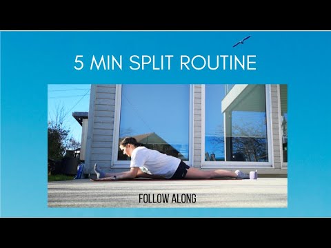 5 MIN SPLIT STRETCH ROUTINE