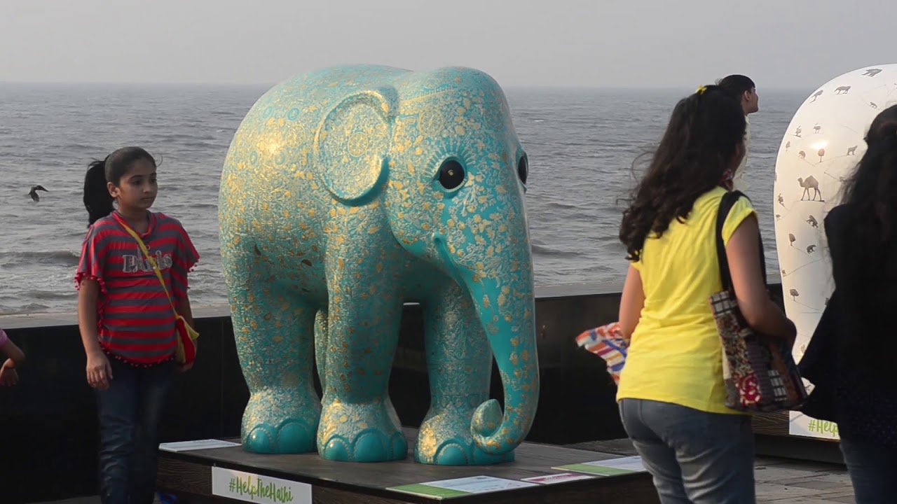 When Elephant Parade Came to India - YouTube