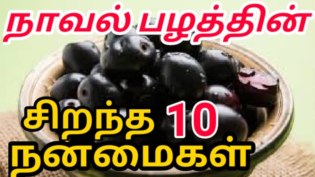 நாவல் பழம் கர்ப்பிணி பெண்கள் சாப்பிடலாமா| நாவல் பழம் பயன்கள்| Naval ...