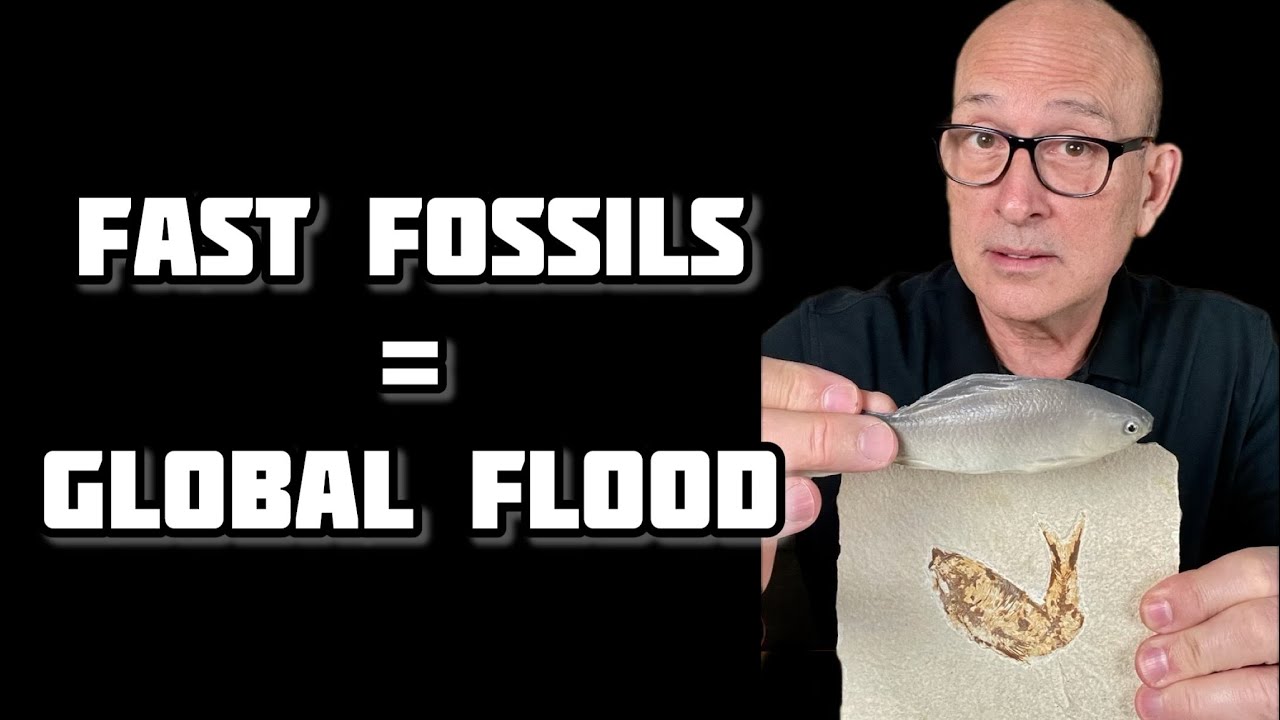 Fast Forming Fossils = Evidence of a Global Flood (Or Does it?) - YouTube