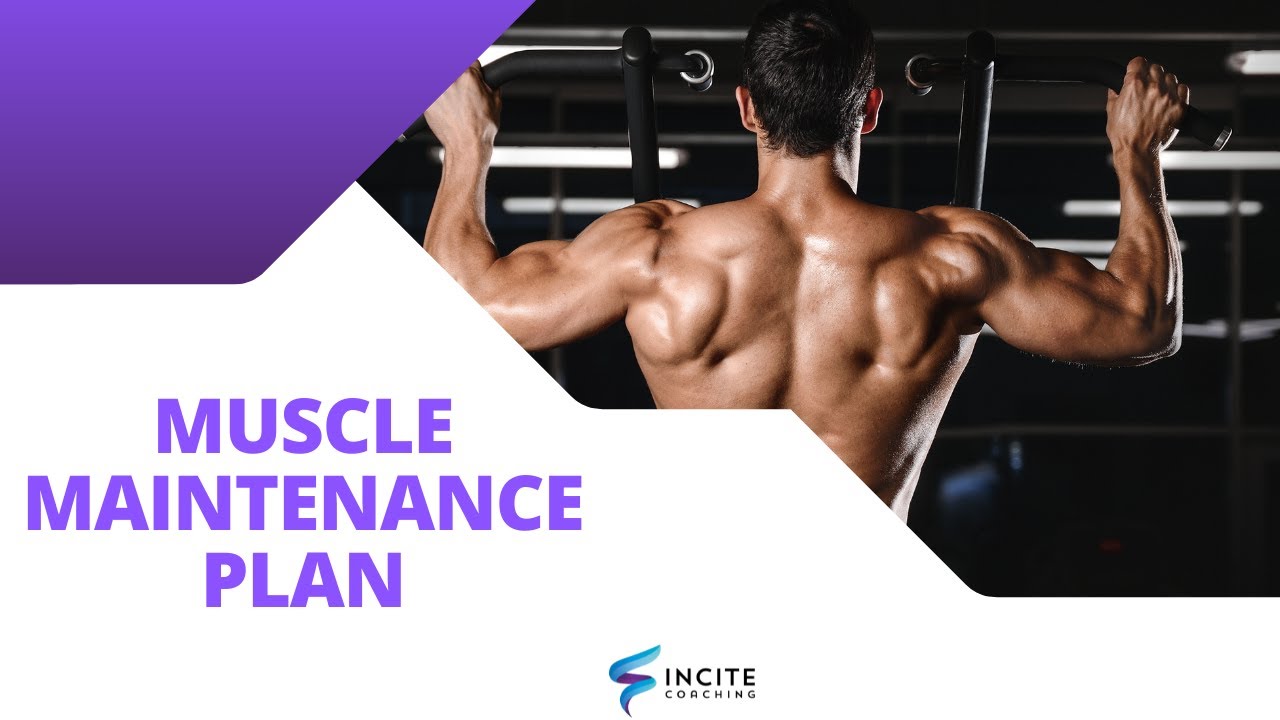 Muscle Maintenance Plan - YouTube