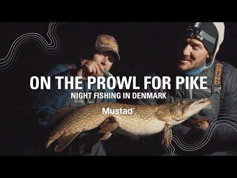 Pitch Black Night Pike Fishing | On the Prowl - YouTube