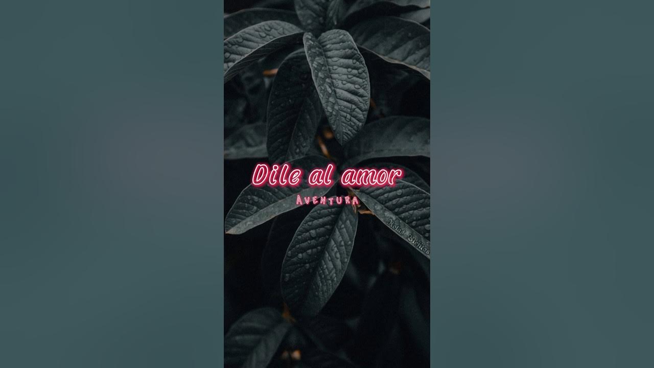 Dile al amor - Aventura (Lyric) - YouTube
