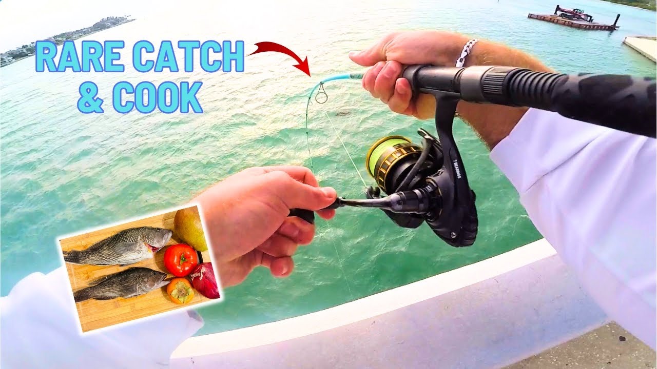 WE CAUGHT A REALLY RARE FISH! Inshore Pier Fishing Catch & Cook - YouTube