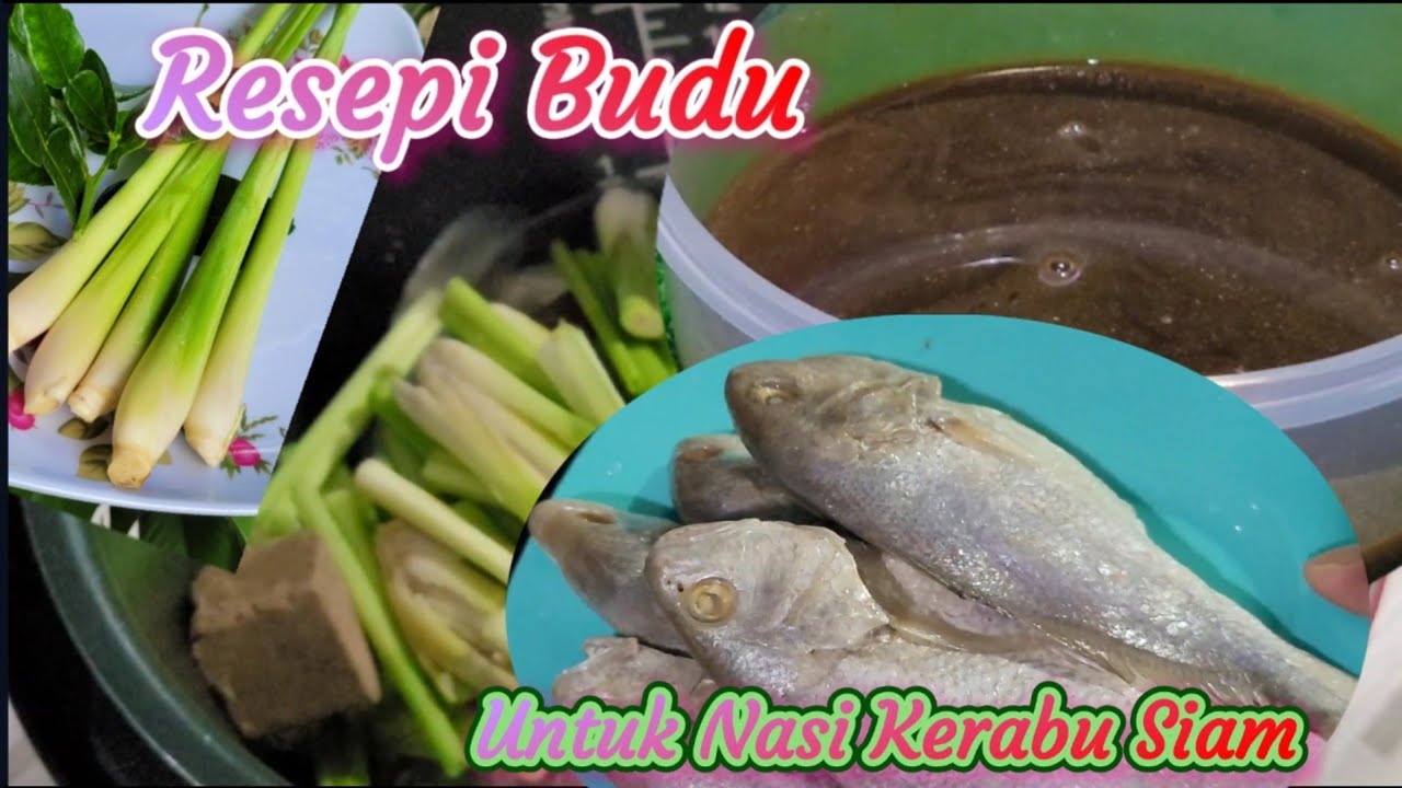 Resepi Budu |Budu Nasi Kerabu Siam | Tips Budu Sedap | วิธีทำน้ำบูดู ...