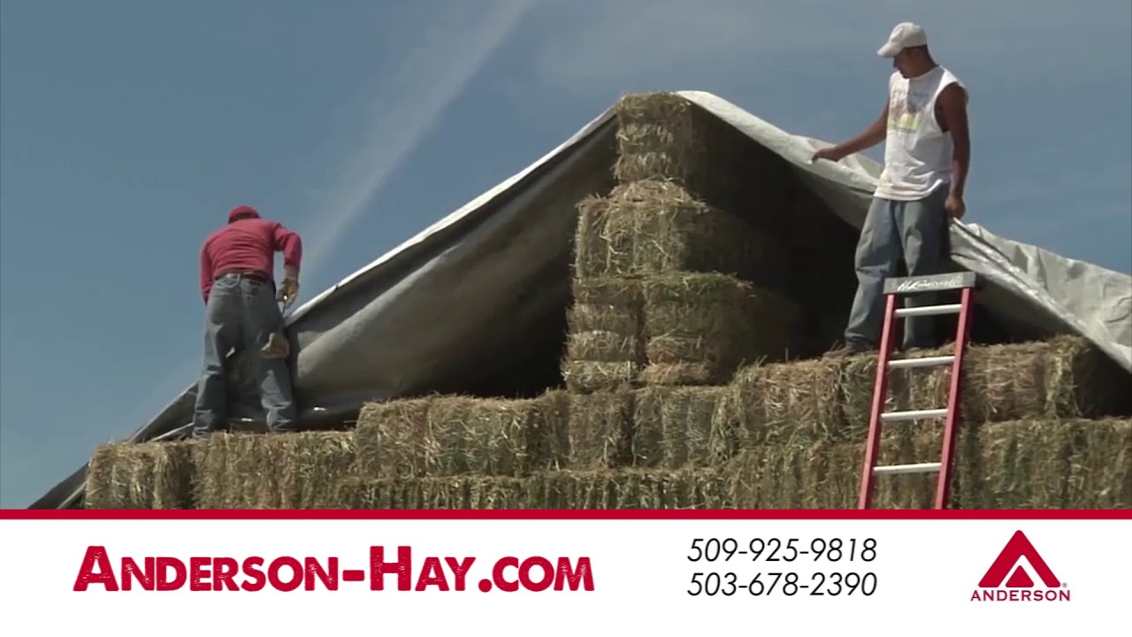 Anderson Hay 2018 - YouTube