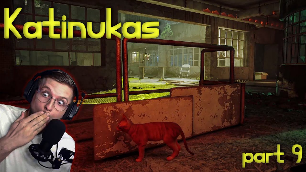 KATINUKAS GELBĖTOJAS - Stray #part9 - YouTube