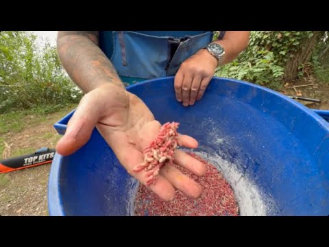COLMIC STABILIX AND ARABIC GUM FOR FISHING ON DEEP WATER