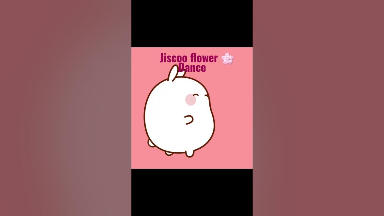 Jiscoo flower🌸#song#cute😍🥰 dance#shorts - YouTube