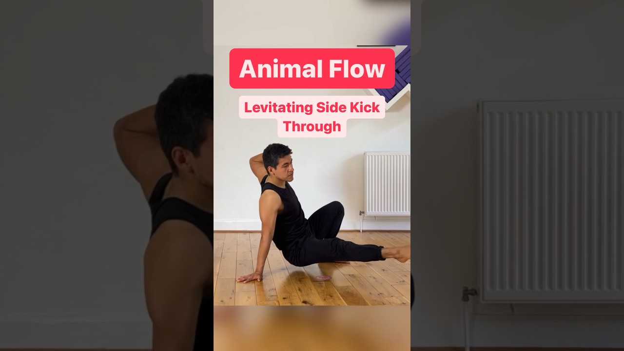 Animal Flow - Levitating Sidekick through 🔥 #handstandpractice #primalmovement #animalflow - YouTube