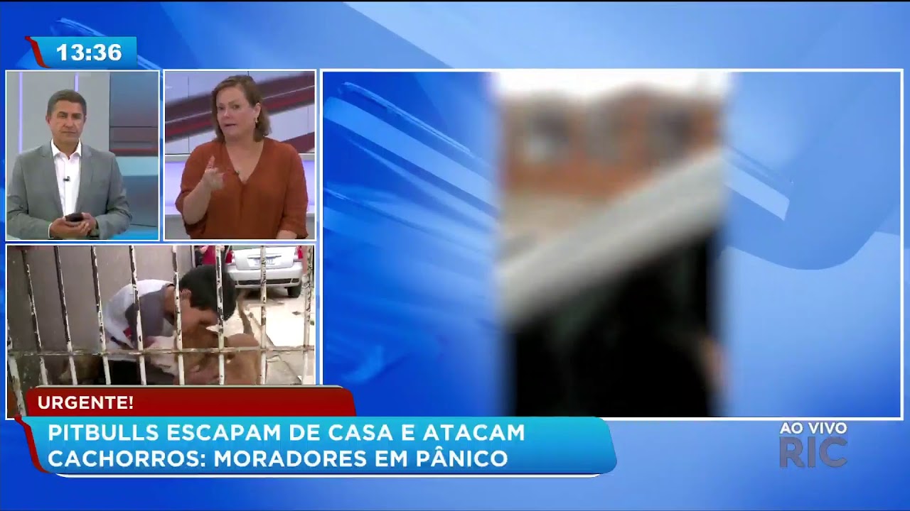 Balanço Geral Curitiba Ao Vivo | Assista à íntegra de hoje | 29/09/2020 ...