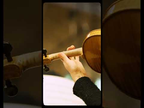 Sefa & Metropole Orchestra - Requiem For Frenchcore