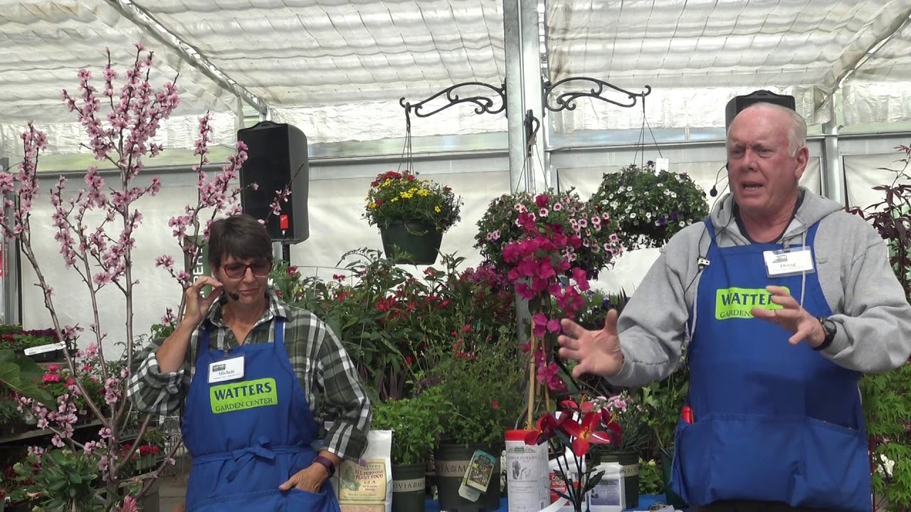 Garden Class: Planting Advice that Works - YouTube